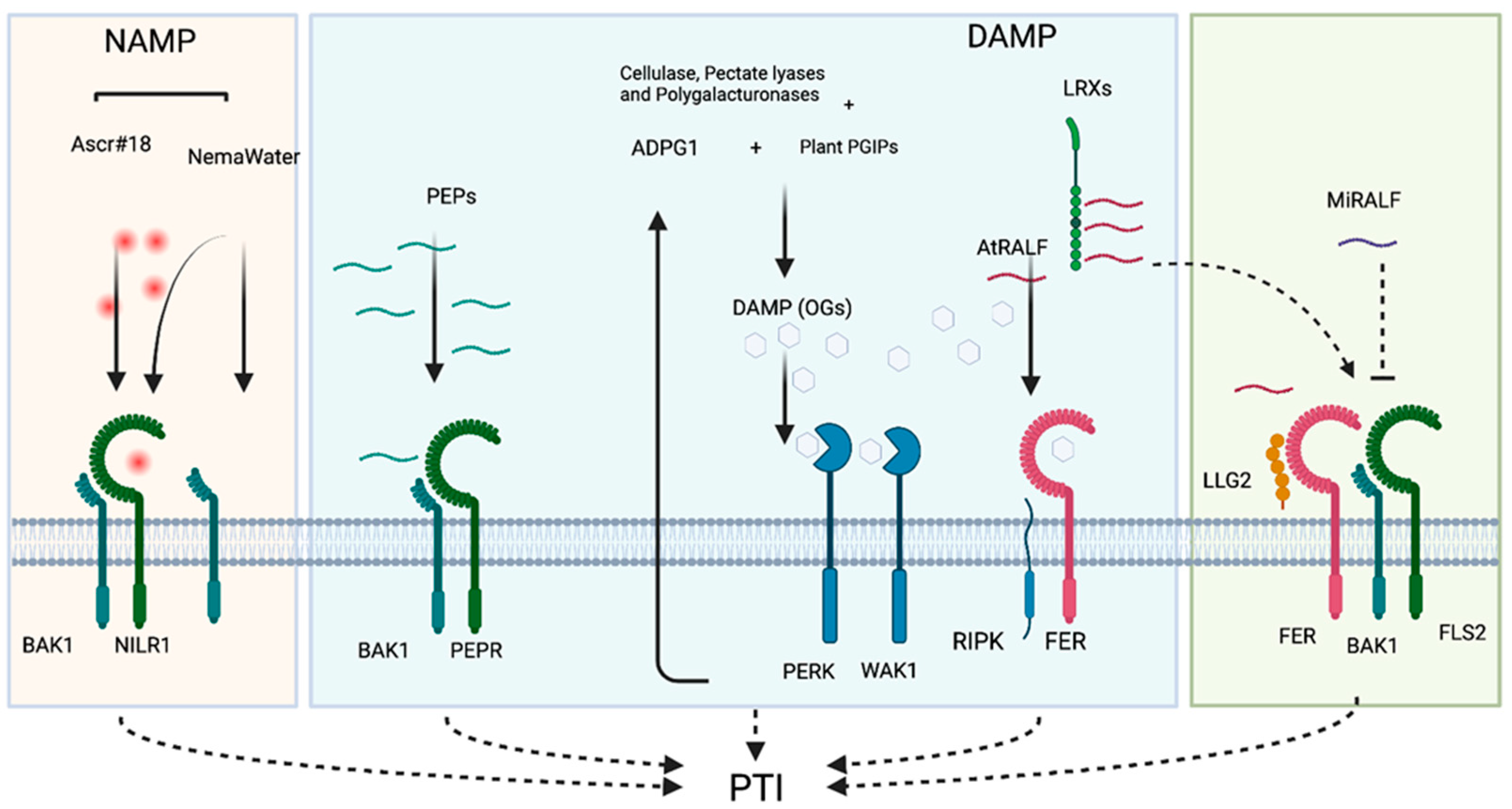 Current Trends and Future Prospects in Controlling the Citrus Nematode ...