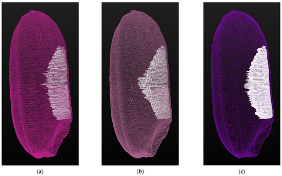 High-Throughput 3D Rice Chalkiness Detection Based on Micro-CT and VSE-UNet