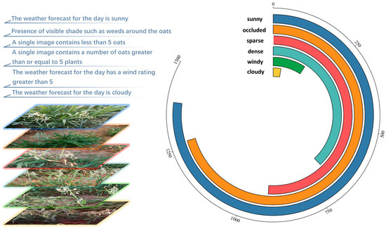 Oat Ears Detection and Counting Model in Natural Environment Based on Improved Faster R-CNN