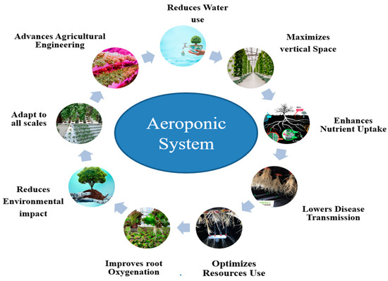 Boosting Aeroponic System Development with Plasma and High-Efficiency ...
