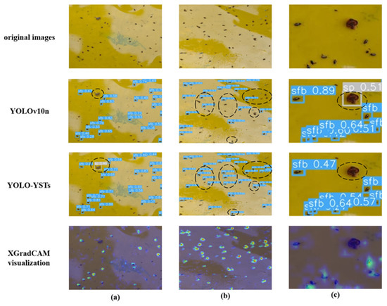 YOLO-YSTs: An Improved YOLOv10n-Based Method for Real-Time Field Pest ...