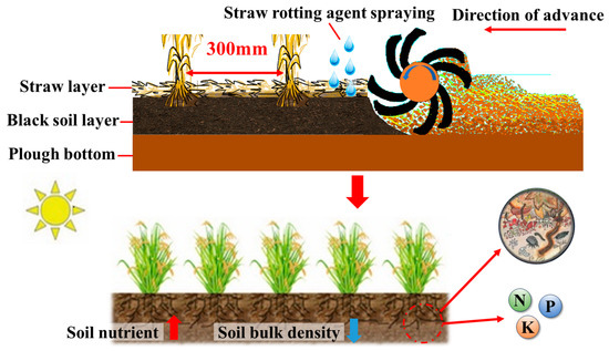 Experimental Study on Straw Rotting and Returning Mode in the Cold ...