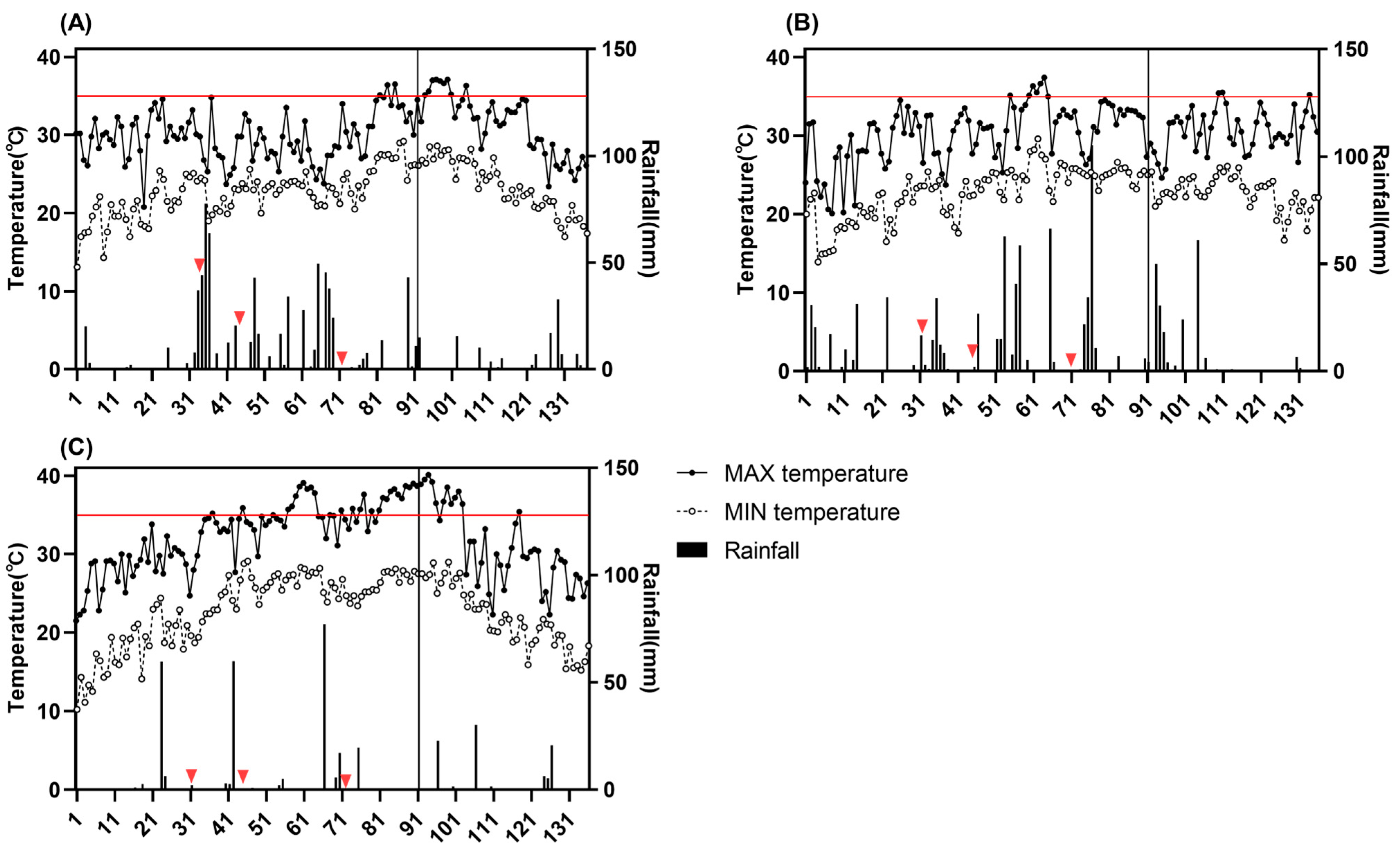 Rice Yield and Nitrogen Use Efficiency Under Climate Change: Unraveling ...