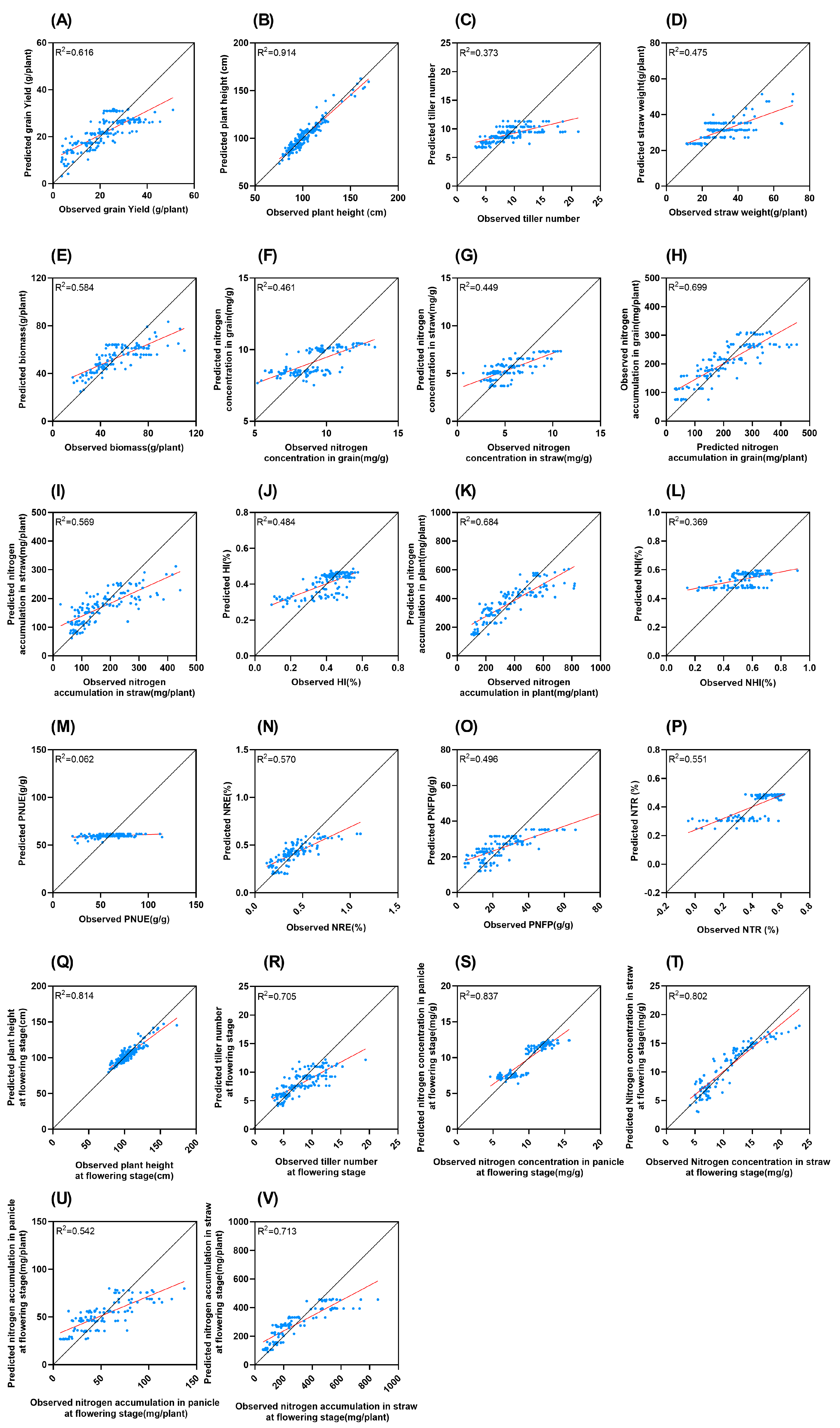 Rice Yield and Nitrogen Use Efficiency Under Climate Change: Unraveling ...
