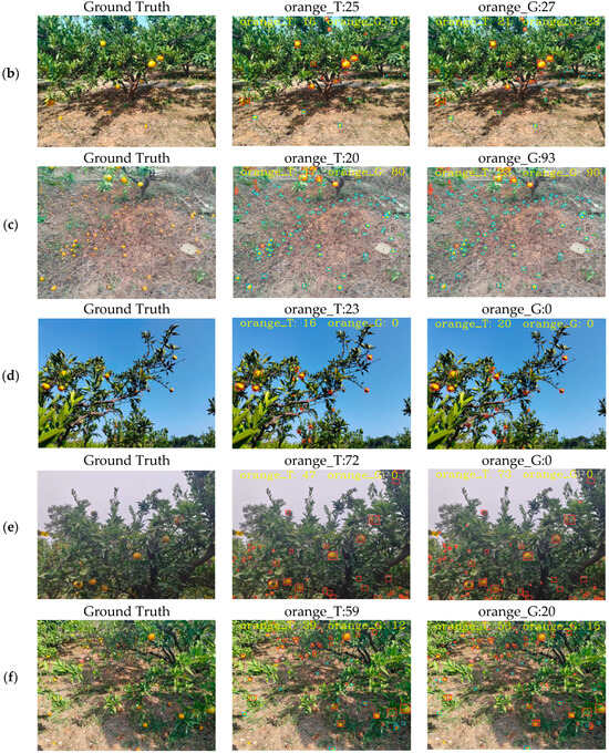 YOLO-MECD: Citrus Detection Algorithm Based on YOLOv11
