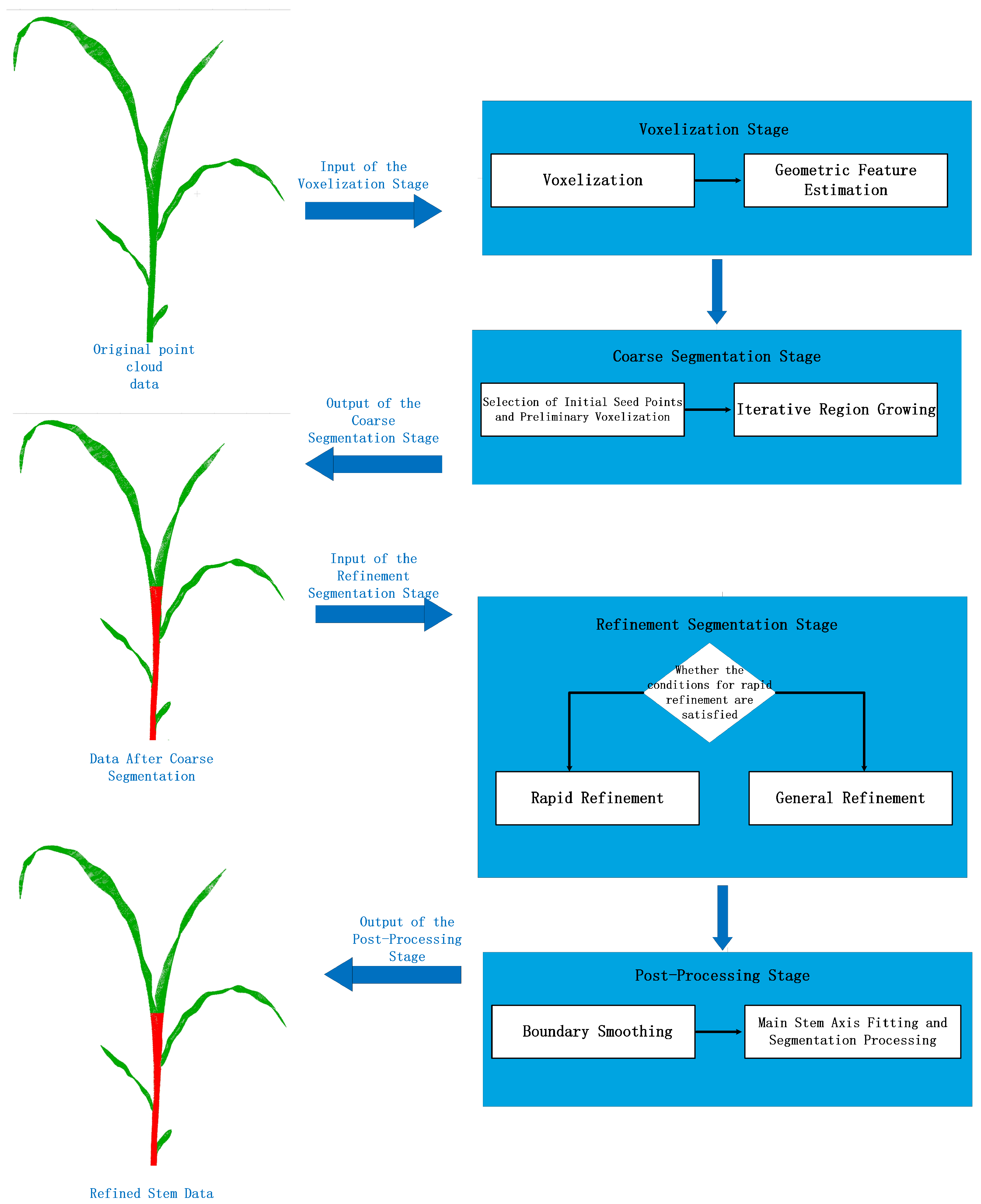 A Corn Point Cloud Stem-Leaf Segmentation Method Based on Octree Voxelization and Region Growing