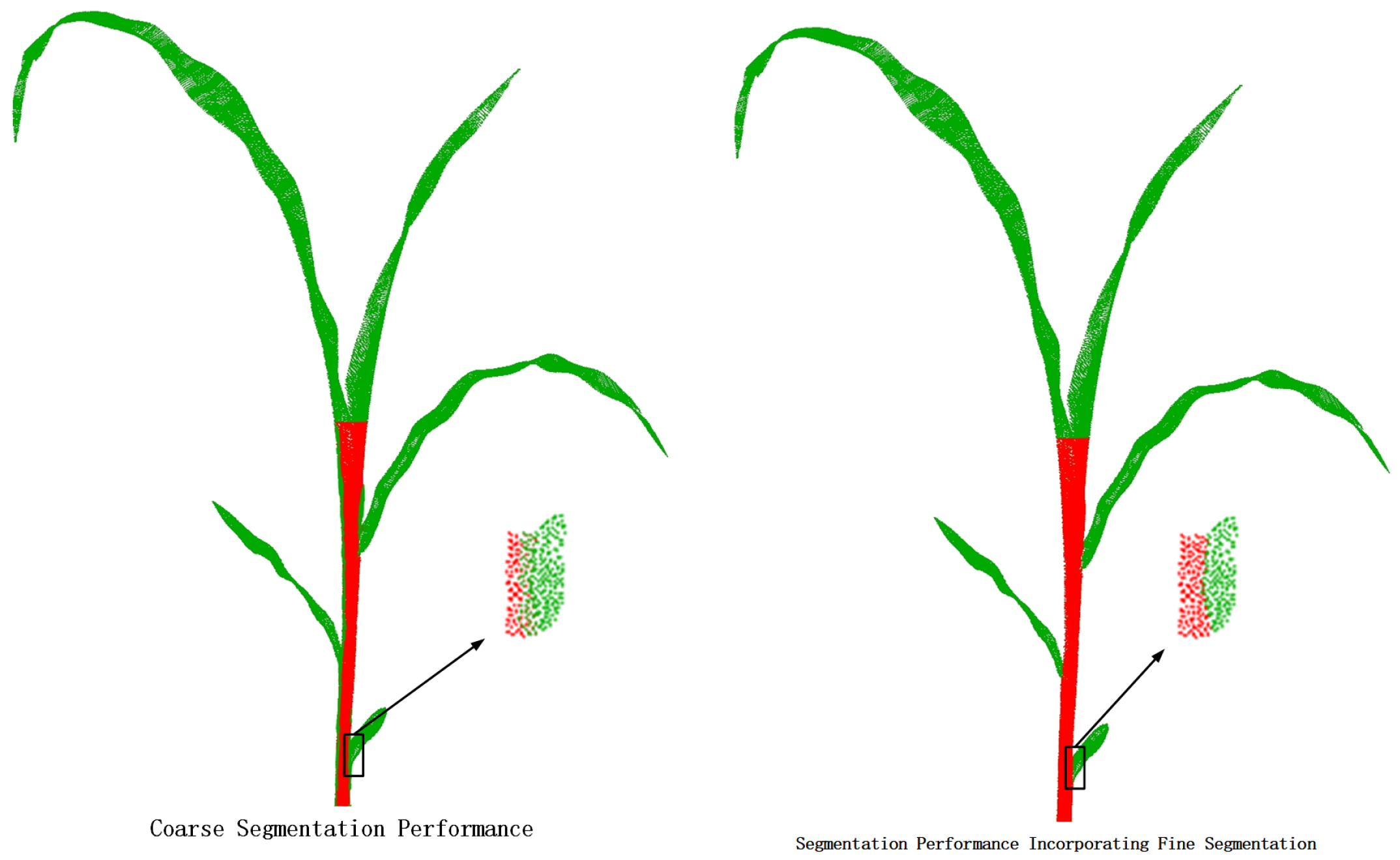 A Corn Point Cloud Stem-Leaf Segmentation Method Based on Octree Voxelization and Region Growing