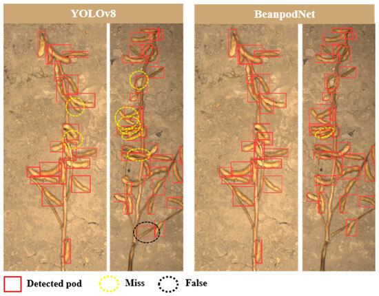 SmartPod: An Automated Framework for High-Precision Soybean Pod Counting in Field Phenotyping