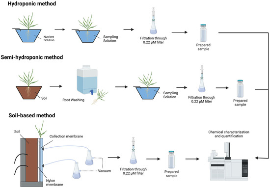 Unveiling the Multifaceted Roles of Root Exudates: Chemical ...