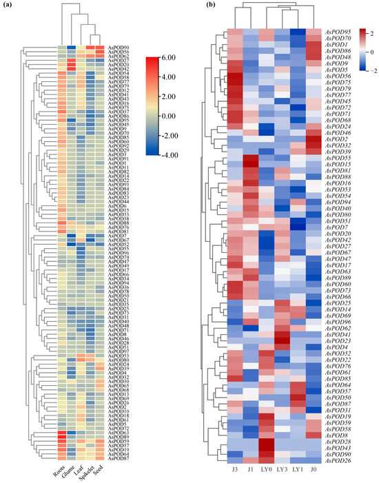 Genome-Wide Analysis of the POD Gene Family in Avena sativa: Insights ...