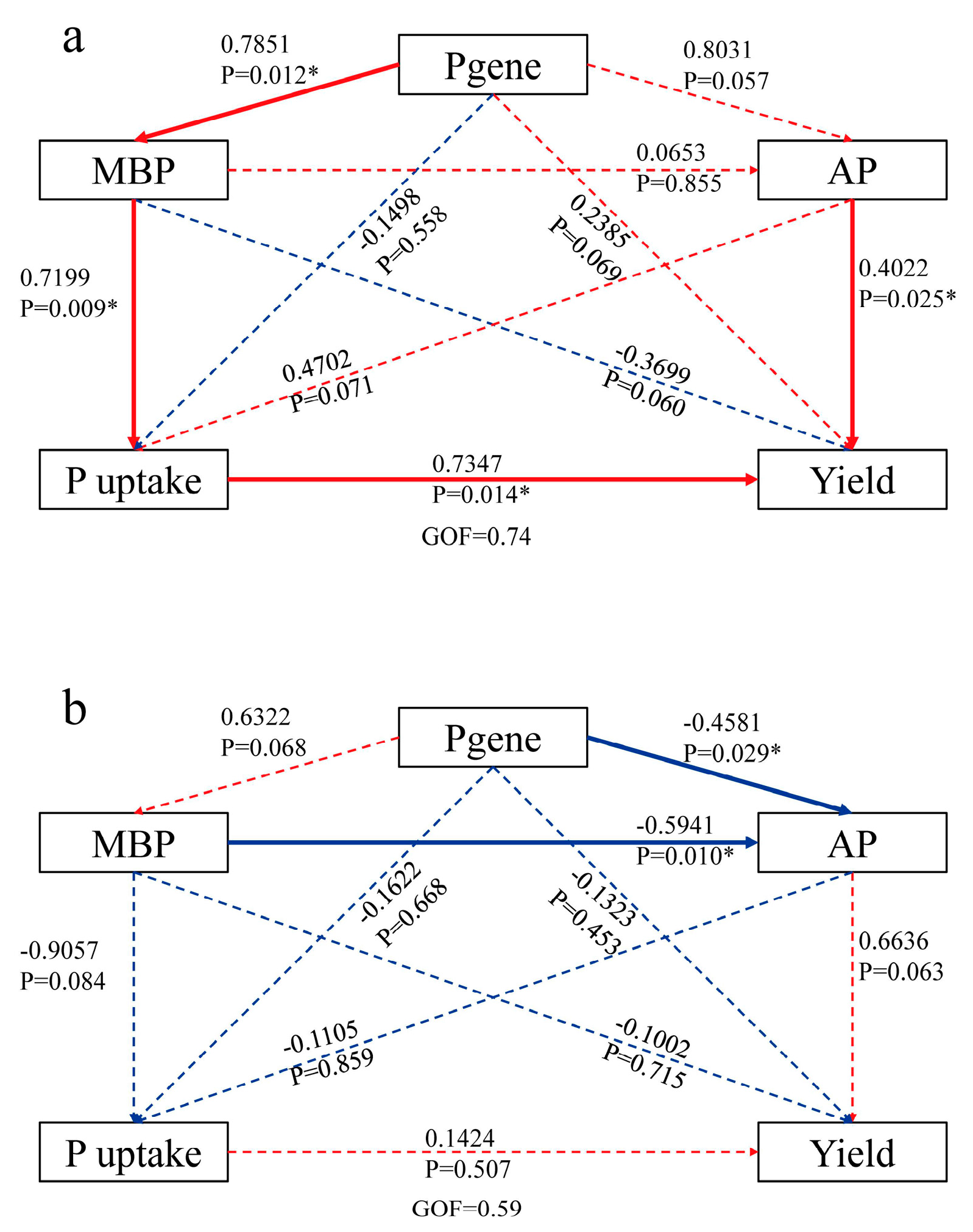 Phosphorus Functional Genes Control Rice Yield via Microbial Biomass ...