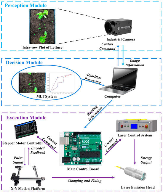 Lightweight Deep Learning-Based Laser Irradiation System for Intra-Row Weed Control in Lettuce