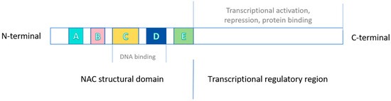 Transcription Factors Involved in Plant Stress and Growth and ...