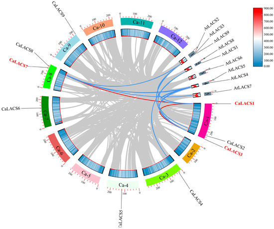 Genome-Wide Identification of LACS Family Genes and Functional ...