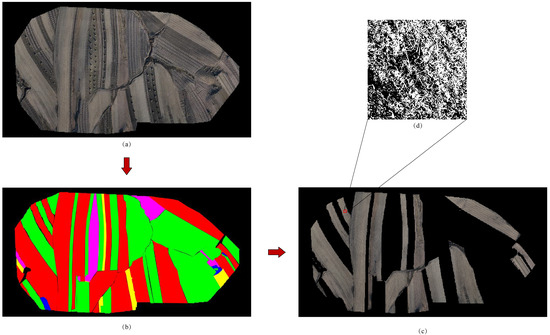 GCF-DeepLabv3+: An Improved Segmentation Network for Maize Straw Plot ...