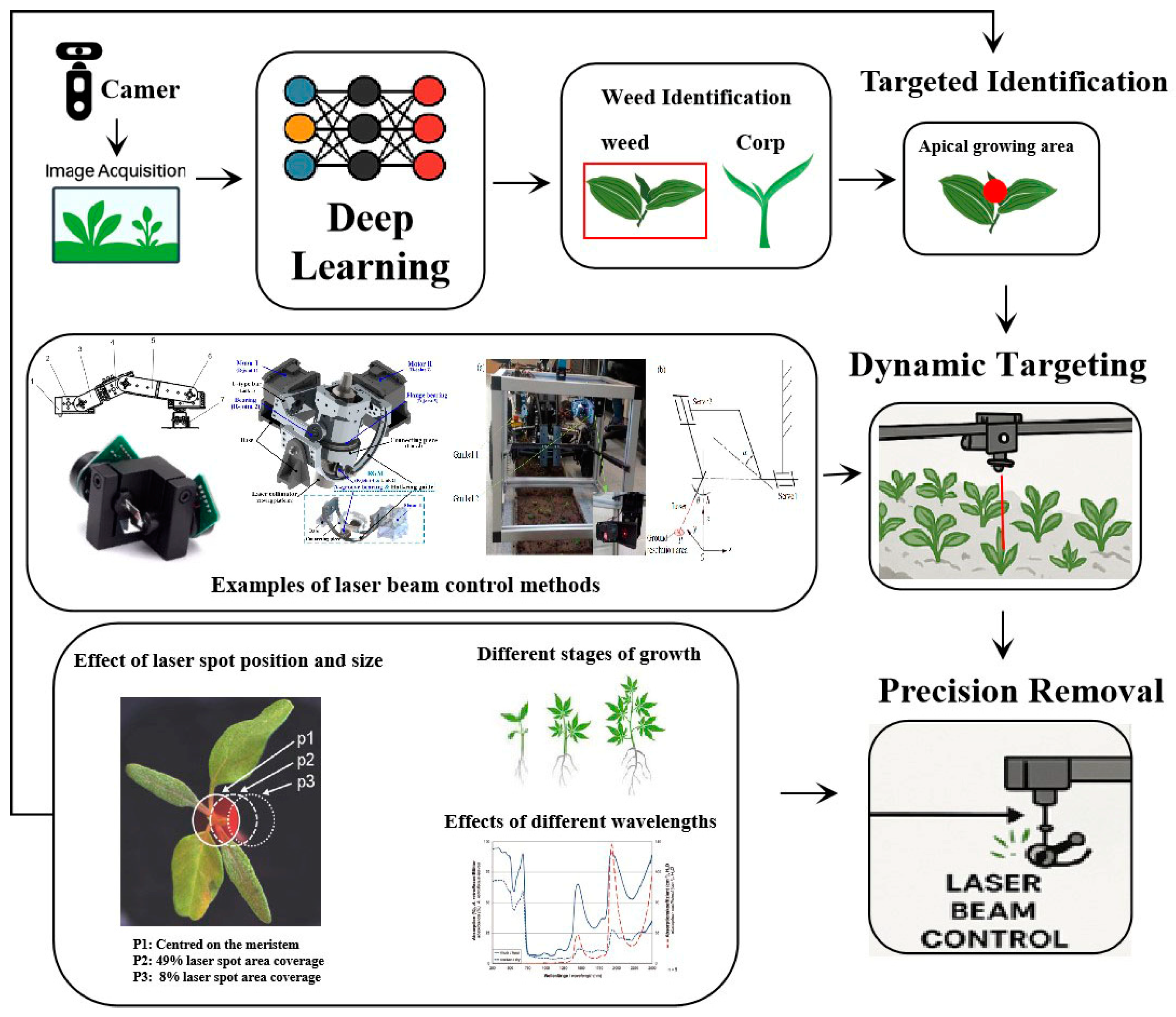 Progress and Challenges in Research on Key Technologies for Laser Weed Control Robot-to-Target ...