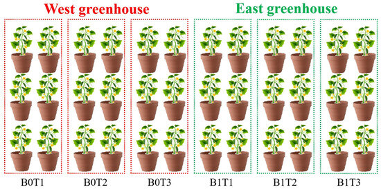 Effects of Downy Mildew Infection and Potassium on Growth and ...