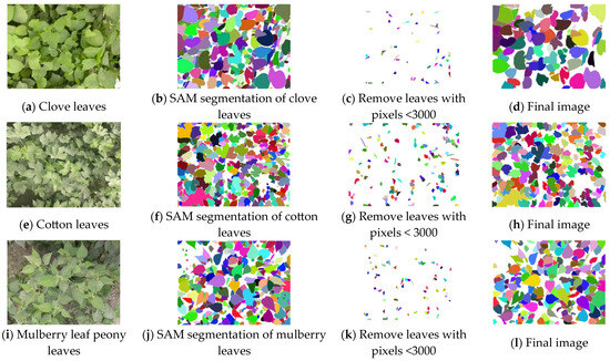 An Automated Image Segmentation, Annotation, and Training Framework of ...