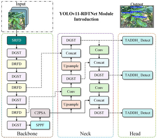 YOLOv11-RDTNet: A Lightweight Model for Citrus Pest and Disease Identification Based on an ...