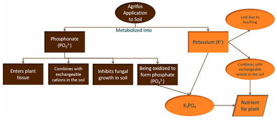 Advantages and Challenges of Using Phosphonate-Based Fungicides in ...