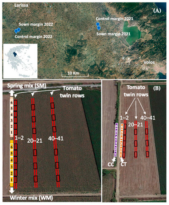Processing Tomato Crop Benefits from Flowering Plants in Field Margins ...
