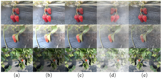 Ripe-Detection: A Lightweight Method for Strawberry Ripeness Detection