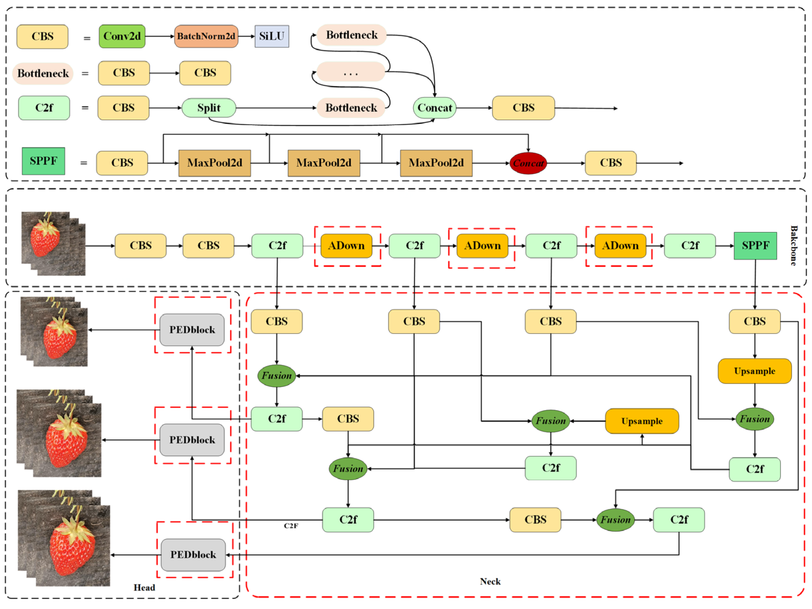 Ripe-Detection: A Lightweight Method for Strawberry Ripeness Detection