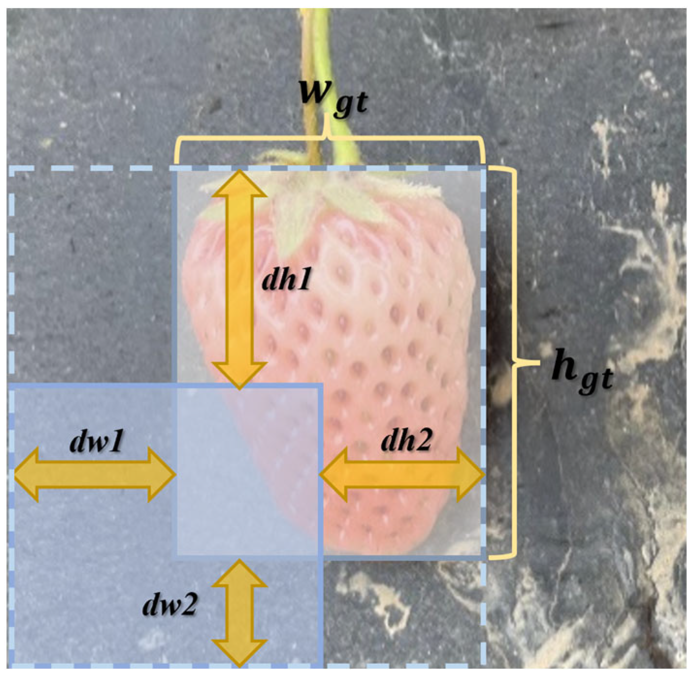 Ripe-Detection: A Lightweight Method for Strawberry Ripeness Detection