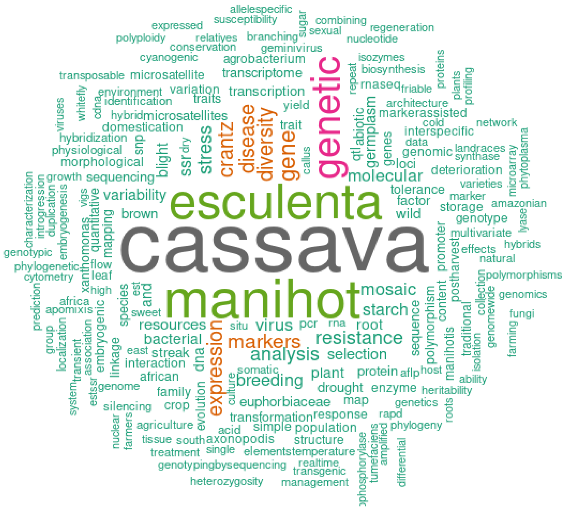 Cassava (Manihot esculenta Crantz): Evolution and Perspectives in Genetic Studies