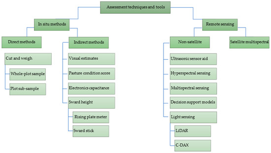 Measuring Herbage Mass: A Review