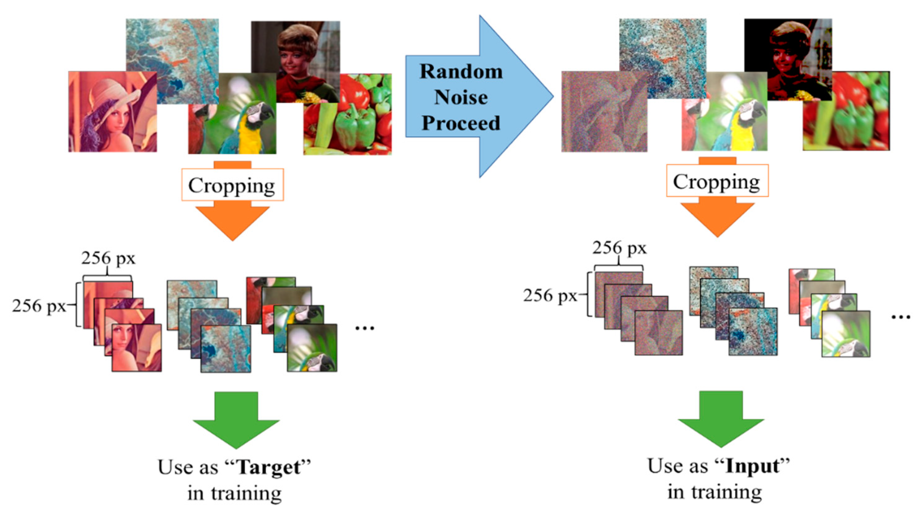 Comparing U-Net Based Models for Denoising Color Images