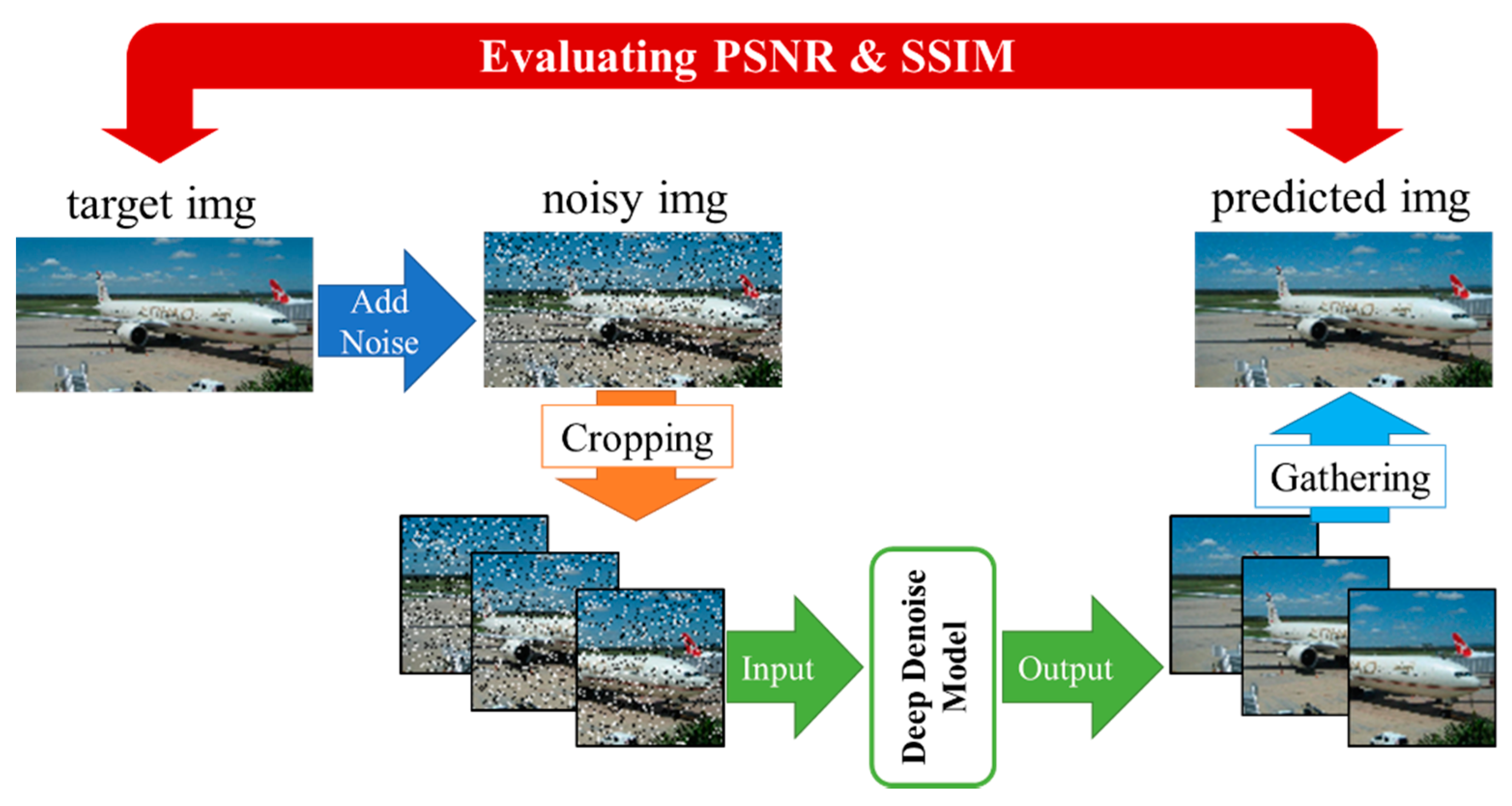 Comparing U-Net Based Models for Denoising Color Images