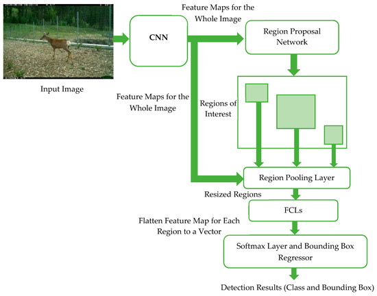 A Performance Comparison and Enhancement of Animal Species Detection in ...
