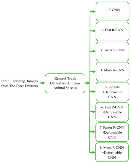 A Performance Comparison and Enhancement of Animal Species Detection in ...
