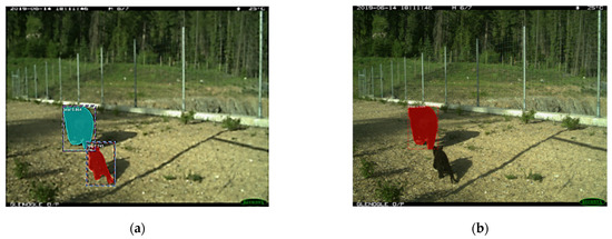 A Performance Comparison and Enhancement of Animal Species Detection in ...