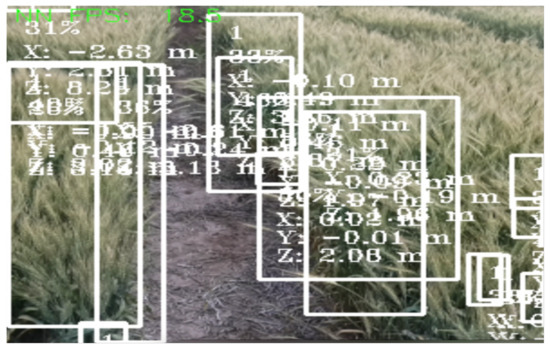 AI | Free Full-Text | A Spatial AI-Based Agricultural Robotic Platform for Wheat Detection and ...