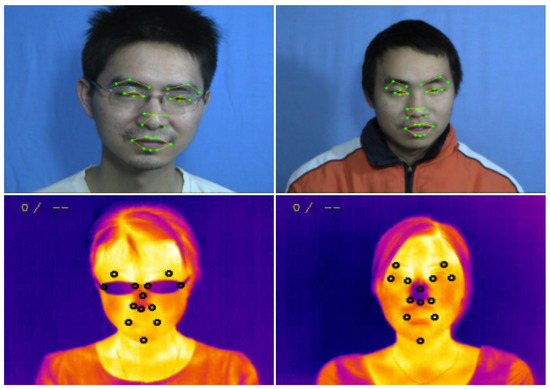 AI | Free Full-Text | Recent Advances in Infrared Face Analysis and ...
