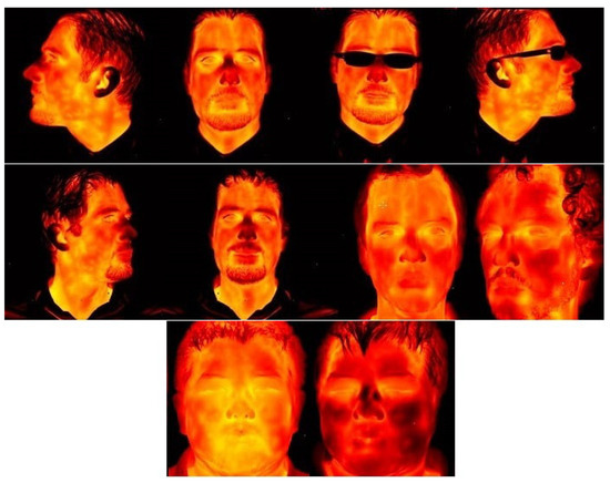 Recent Advances in Infrared Face Analysis and Recognition with Deep ...