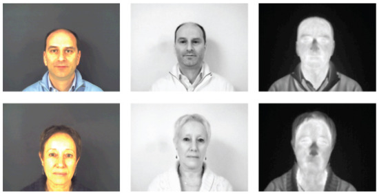 AI | Free Full-Text | Recent Advances in Infrared Face Analysis and ...