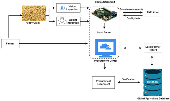 Efficient Paddy Grain Quality Assessment Approach Utilizing Affordable Sensors