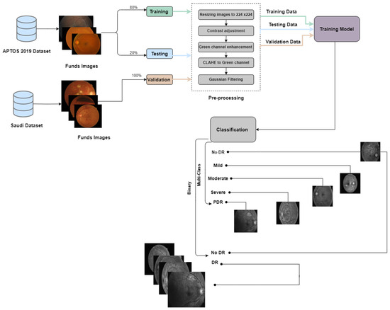 Early Detection and Classification of Diabetic Retinopathy: A Deep ...
