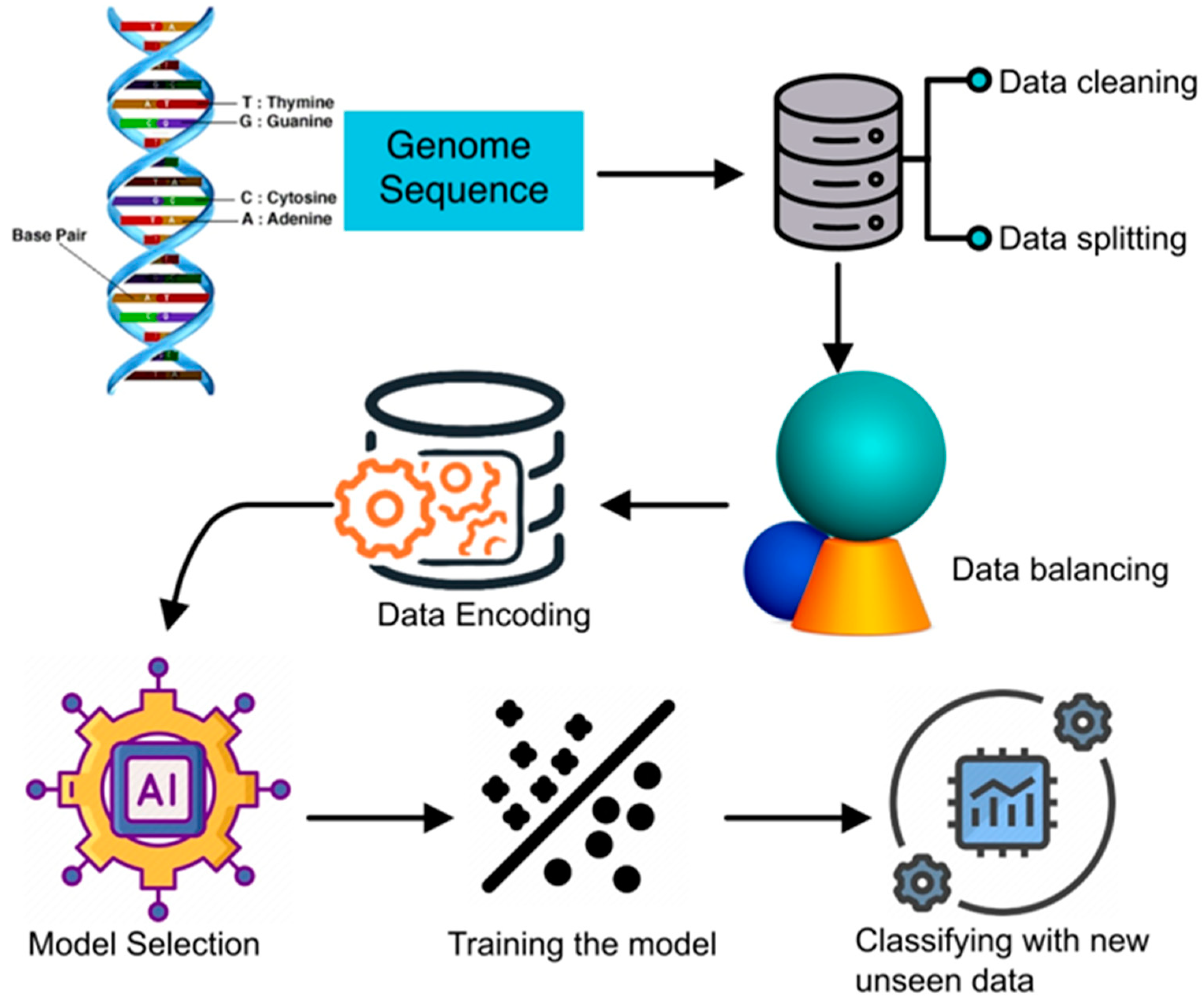 Attention-Based Hybrid Deep Learning Models for Classifying COVID-19 Genome Sequences