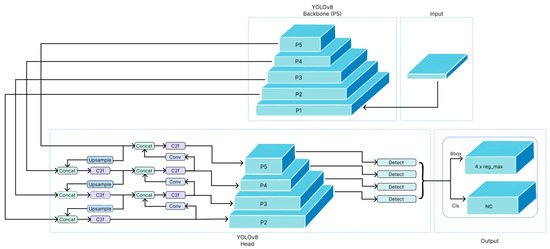 Integration of YOLOv8 Small and MobileNet V3 Large for Efficient Bird ...