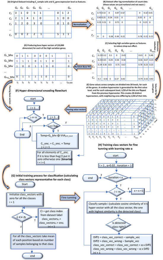 Robust Single-Cell RNA-Seq Analysis Using Hyperdimensional Computing: Enhanced Clustering and ...