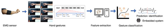 On the Deployment of Edge AI Models for Surface Electromyography-Based ...