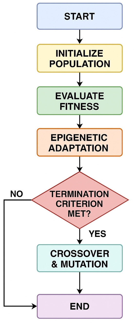 A Novel Quantum Epigenetic Algorithm for Adaptive Cybersecurity Threat Detection