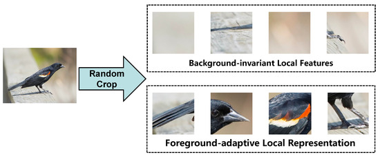 Few-Shot Image Classification Algorithm Based on Global–Local Feature ...