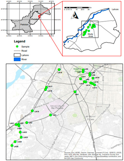 Air Pollution Tolerance Index and Heavy Metals Accumulation of Tree ...