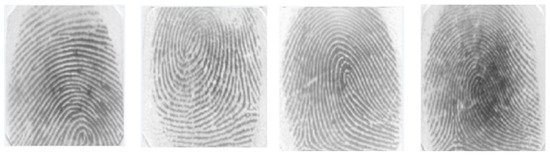 Fingerprints Classification through Image Analysis and Machine Learning ...
