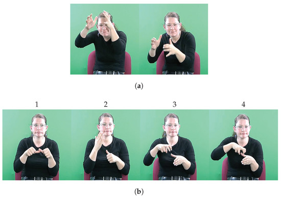 Experimenting the Automatic Recognition of Non-Conventionalized Units ...
